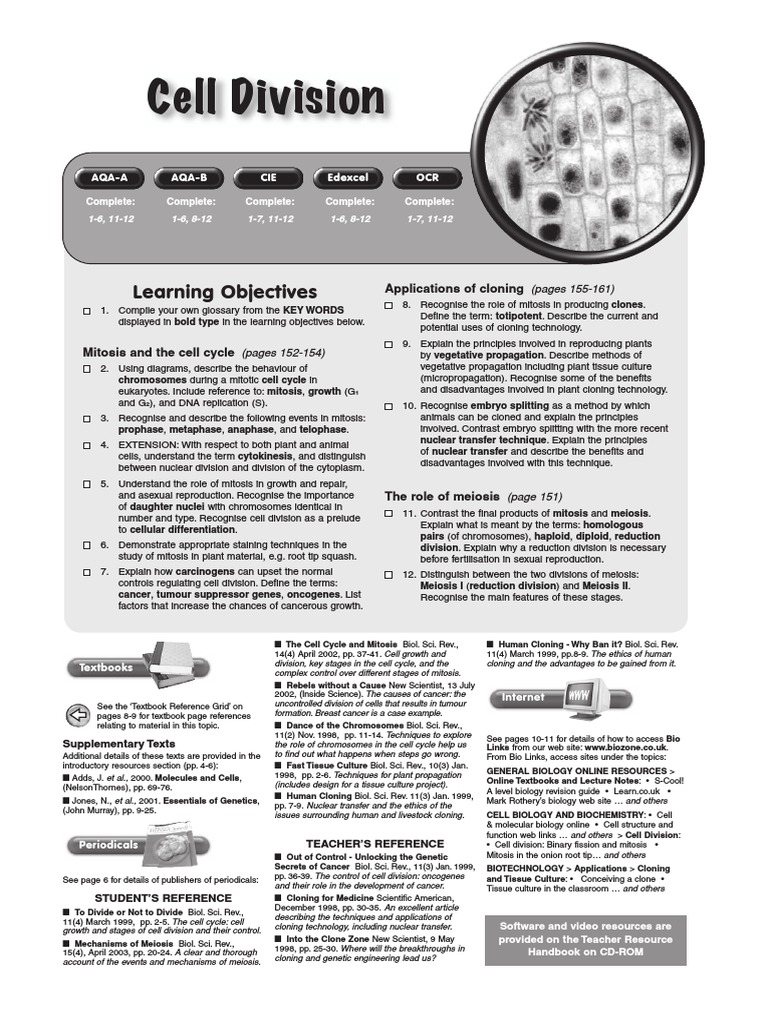 A1 Cell Division | PDF | Mitosis | Meiosis