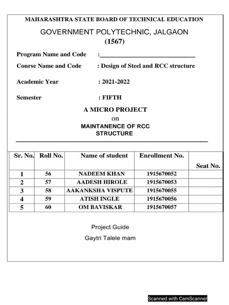 Maintanence of RCC Structure | PDF