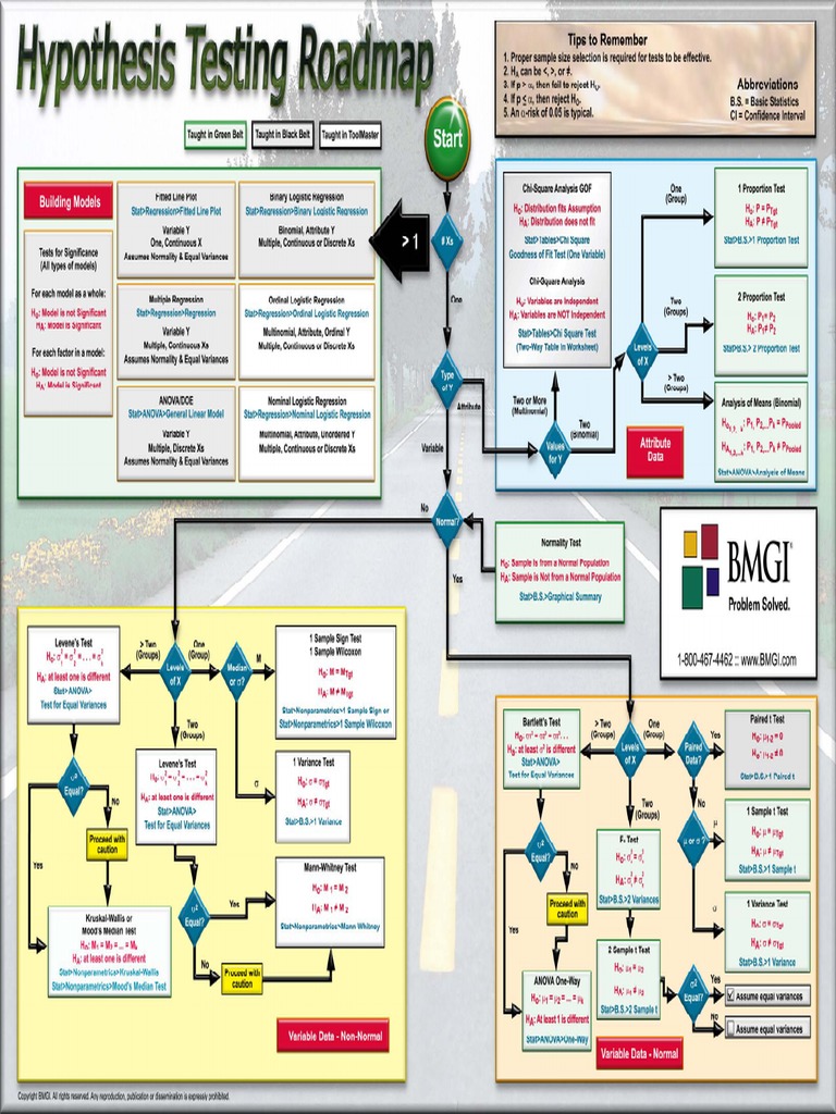 Hypothesis Testing Roadmap | PDF