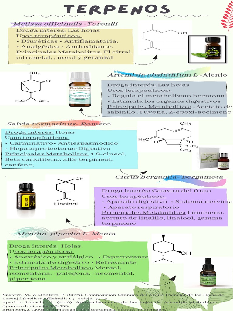 Terpenos Infografia Pdf