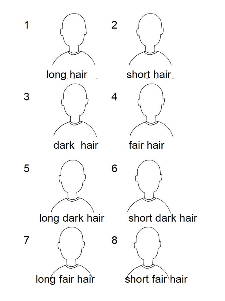 Different Types of Hair Worksheet | PDF