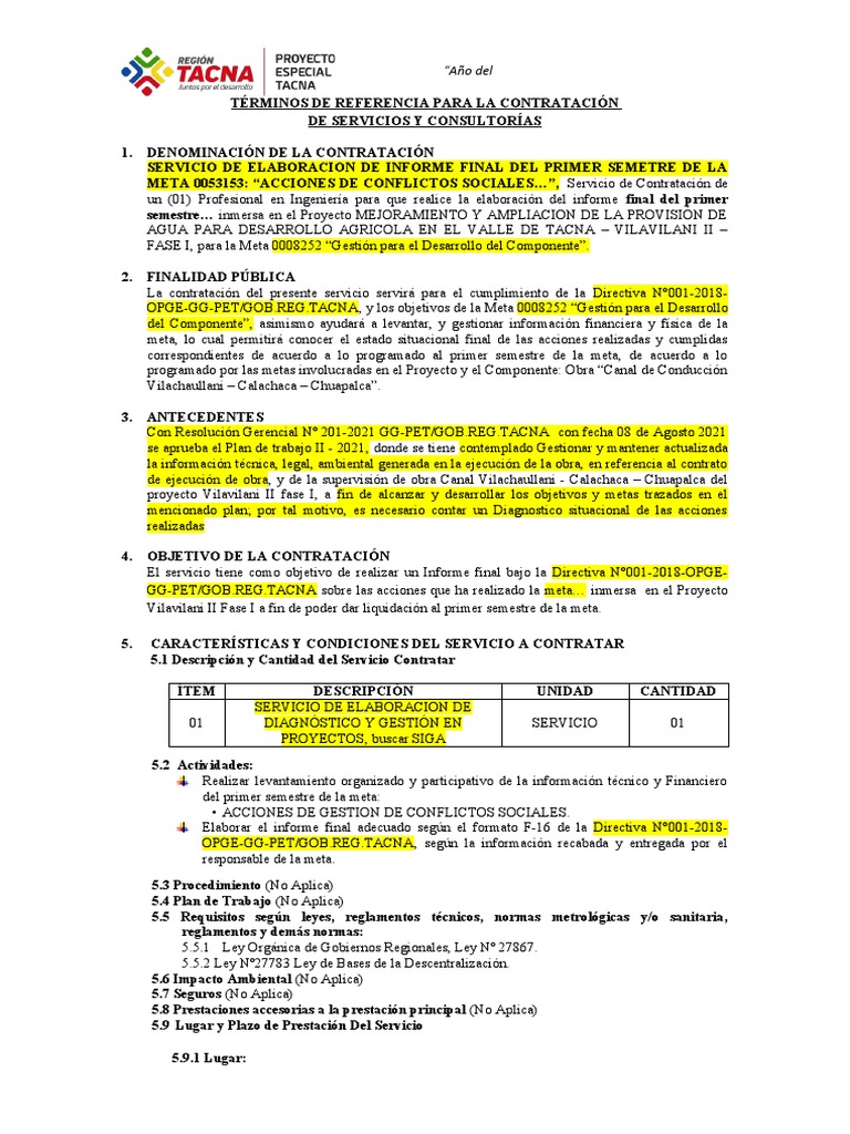 Modelo TDR Informe Final | PDF