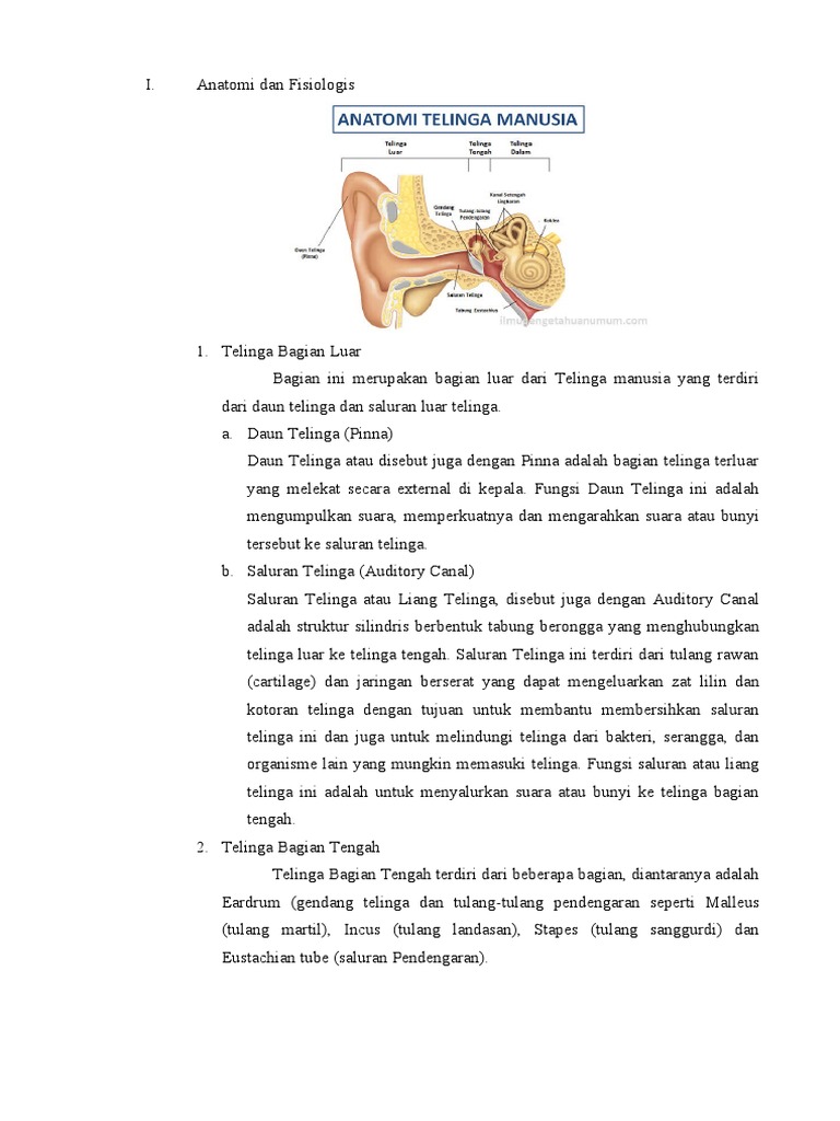 LP Vertigo Nurul Benar | PDF | Kajian Bahasa Asing | Sains & Matematika