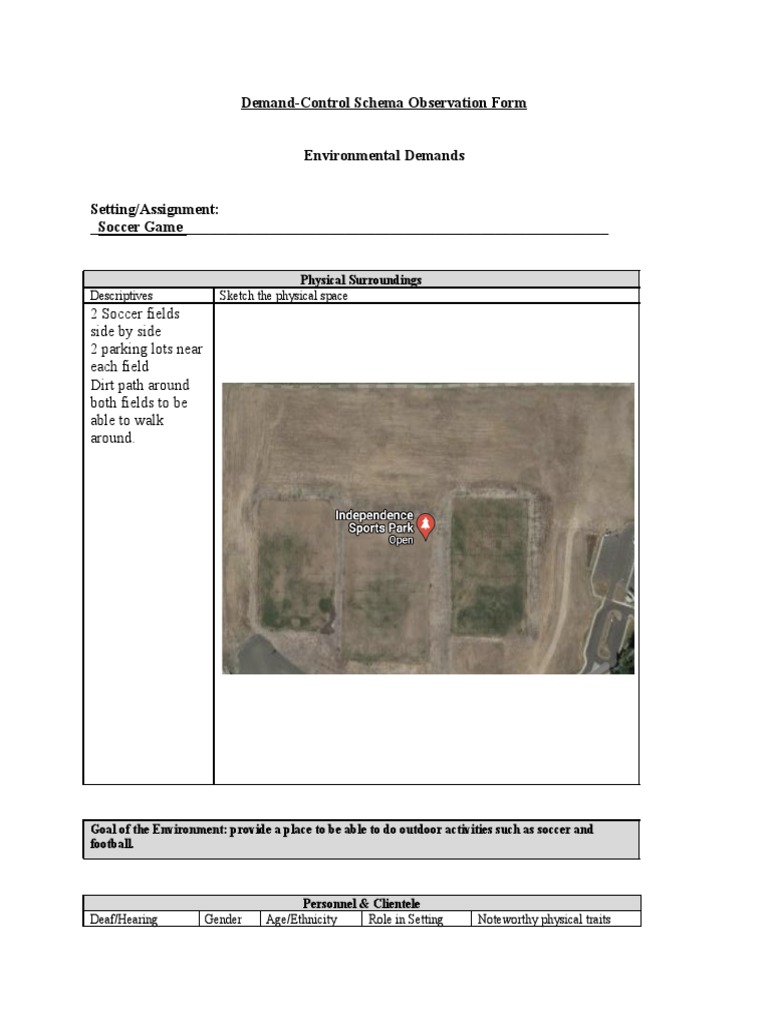 Demand-Control Schema Observation Form | PDF | Psychological Concepts ...