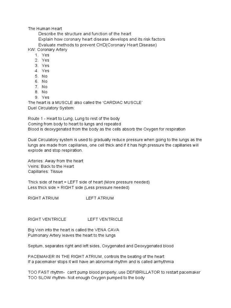 The Human Heart | PDF