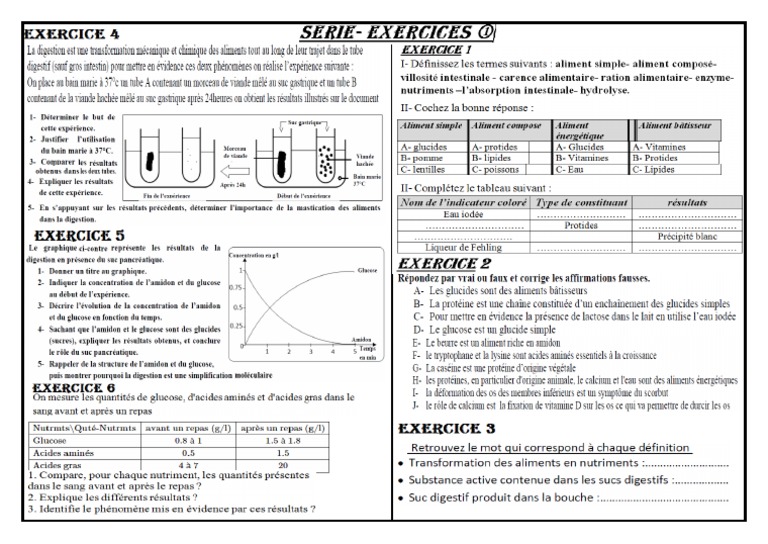 Série Des Exercices Pour 3AC | PDF