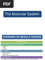 Aspetar Hamstring Protocol | PDF | Anatomical Terms Of Motion | Knee
