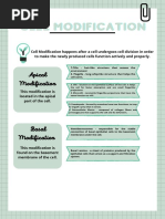Cell Defense Worksheet | PDF | Cell Membrane | Osmosis