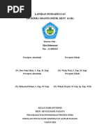 LP Akut Limfoblastik Leukemia (ALL) | PDF | Pengembangan Diri | Kesehatan Holistik