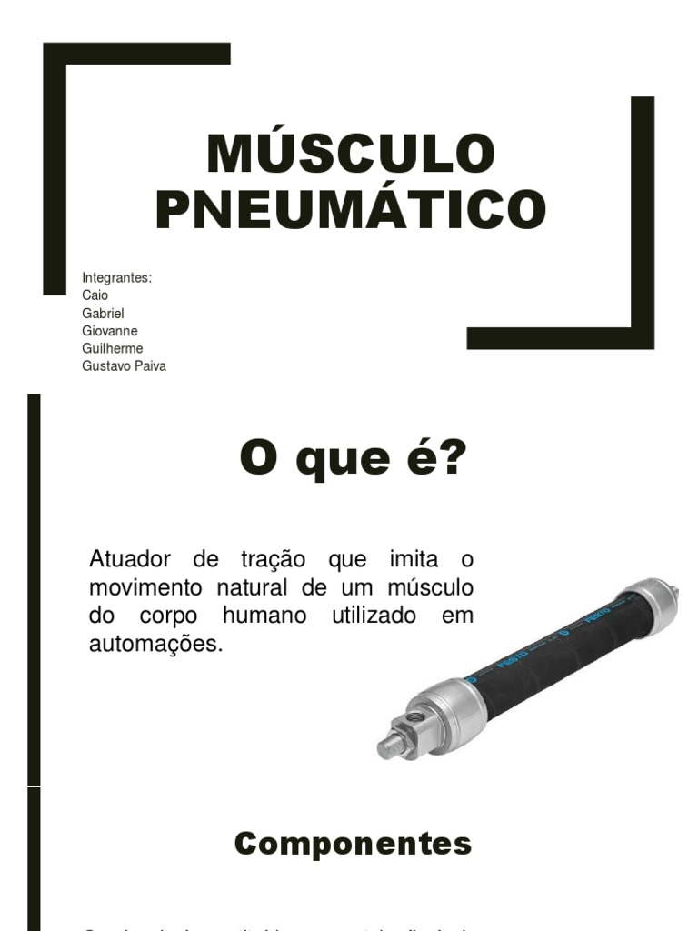 Músculo pneumático: características, componentes e funcionamento deste ...