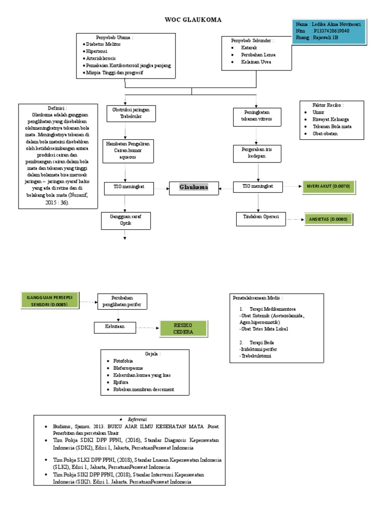 Woc Glaukoma Fix | PDF