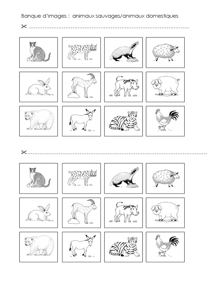 Animaux Sauvages Et Domestiques | PDF