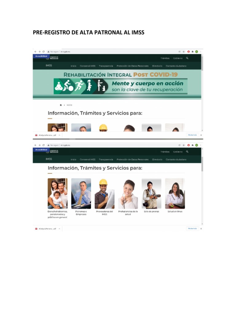 Pre-Registro Alta Patronal Al Imss-Manual Página Imss - Gob.mx | PDF