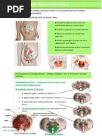 SAPO - Software para Avaliação Postural | PDF | Medição | Internet