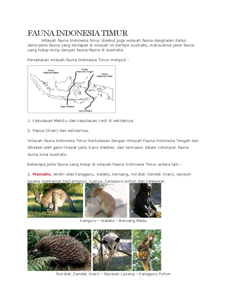 Fauna Indonesia Timur | PDF