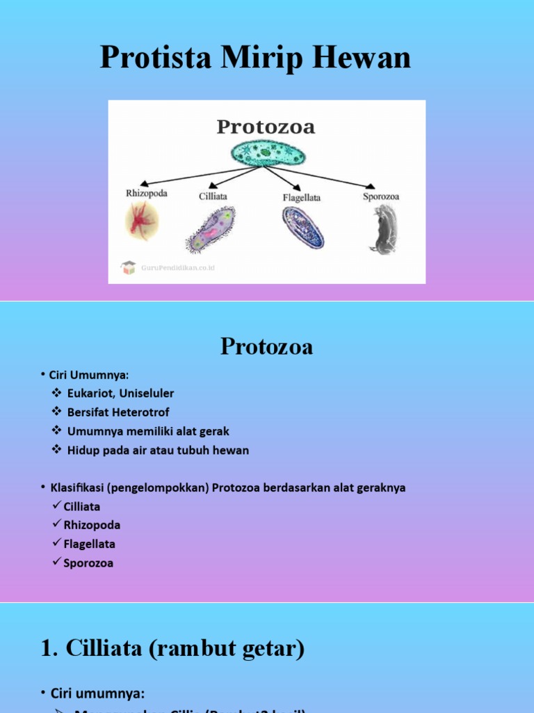 PROTOZOA: ALAT GERAK DAN REPRODUKSI | PDF