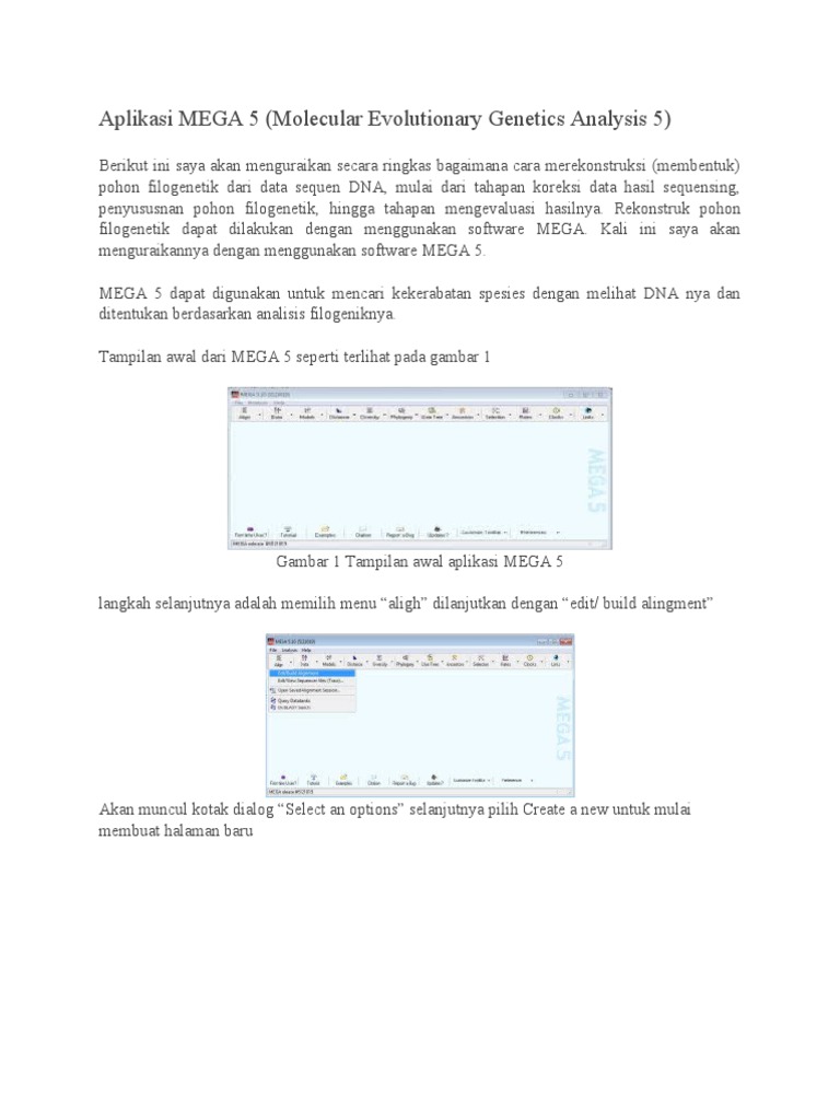 Panduan Rekonstruksi Pohon Filogenetik dengan MEGA 5 | PDF