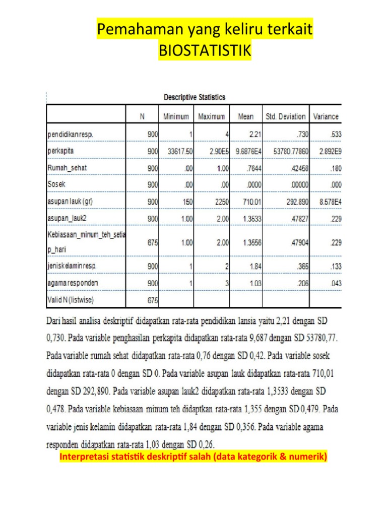 Contoh Statistik Deskriptif dan Interpretasi | PDF