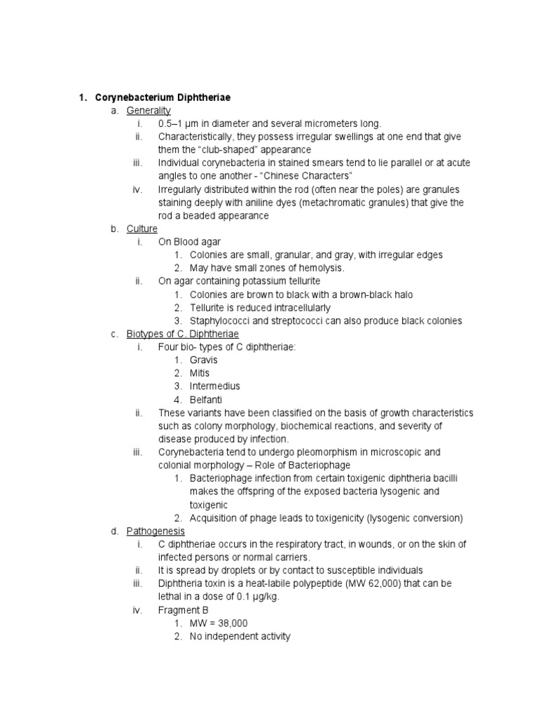 Gram Positive Non Spore Forming Bacilli | PDF | Bacteria | Infection