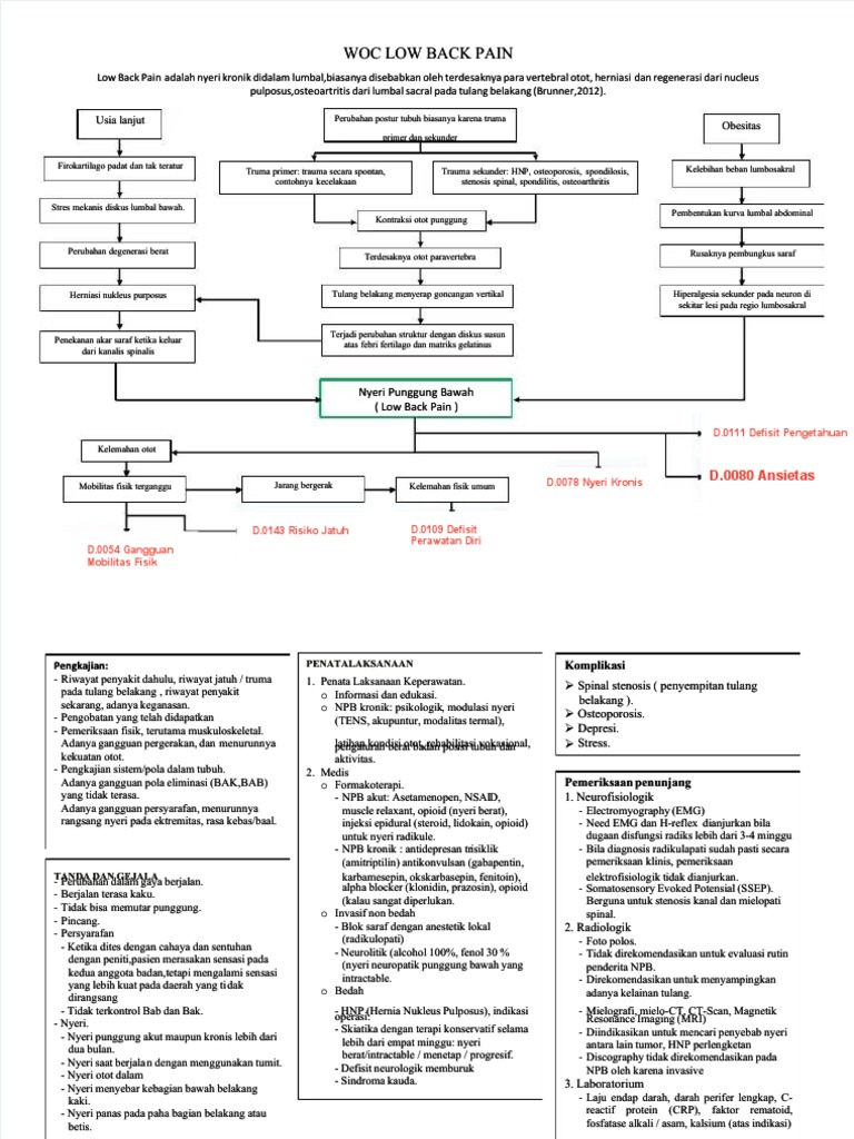 Sistem Muskuloskeletal - WOC LBP - Khairita Silvana Sofyan | PDF