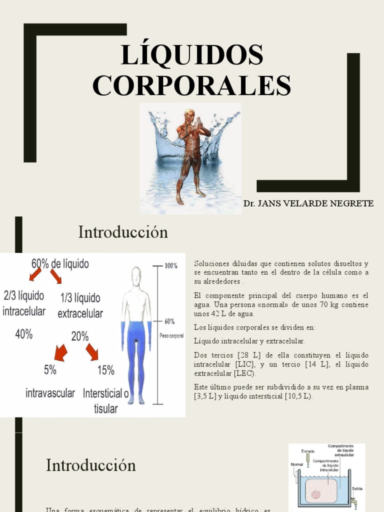 Líquidos Corporales | Descargar gratis PDF | Fisiología | Anatomía