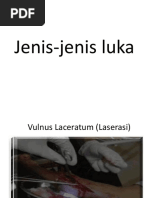 Jenis-Jenis Vulnus dan Karakteristiknya | PDF