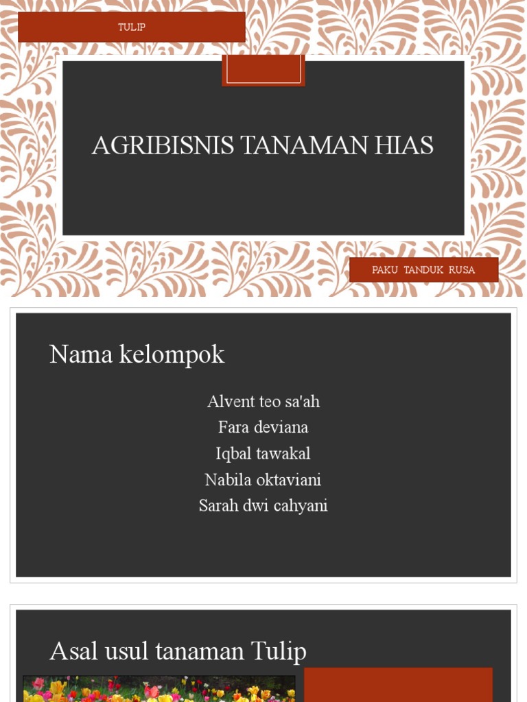 Presentasi Tulip ATH | PDF
