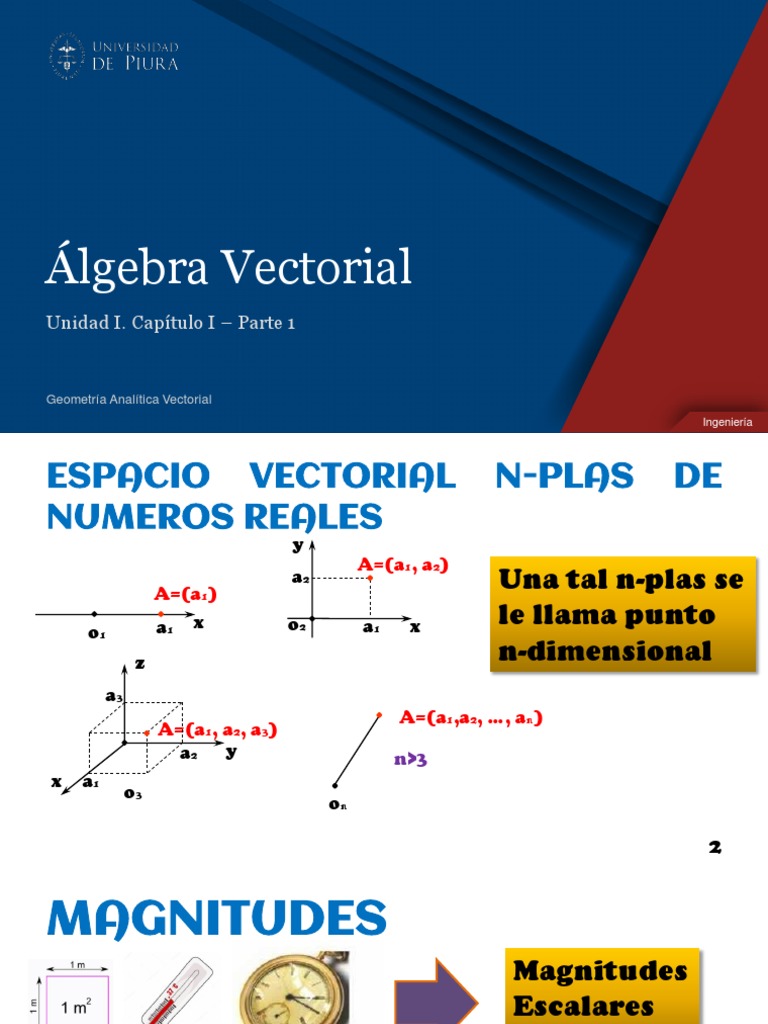 Algebra Vectorial P1.0 | PDF | Espacio vectorial | Vector Euclidiano