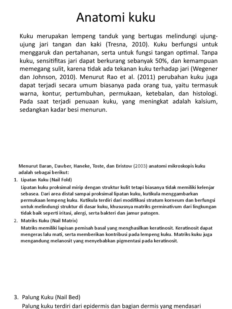 Anatomi Kuku | PDF