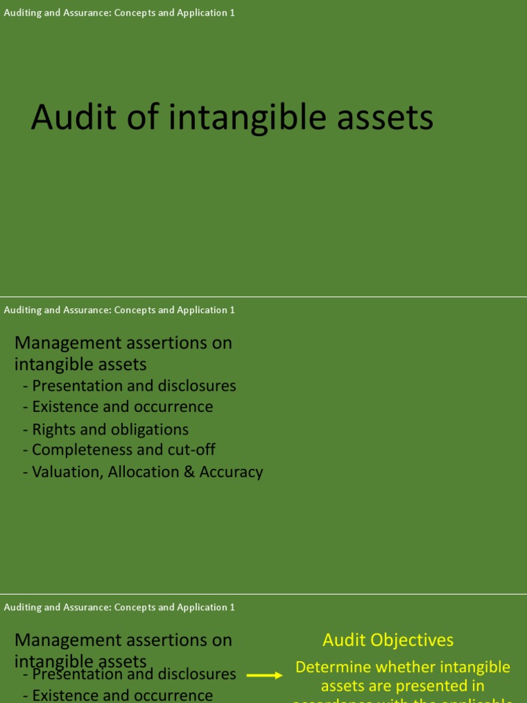 1 - Audit of Intangibles Assets | PDF | Law