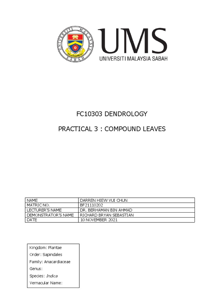 Fc10303 Dendrology Practical 3: Compound Leaves: Indica | PDF | Leaf | Plant Morphology