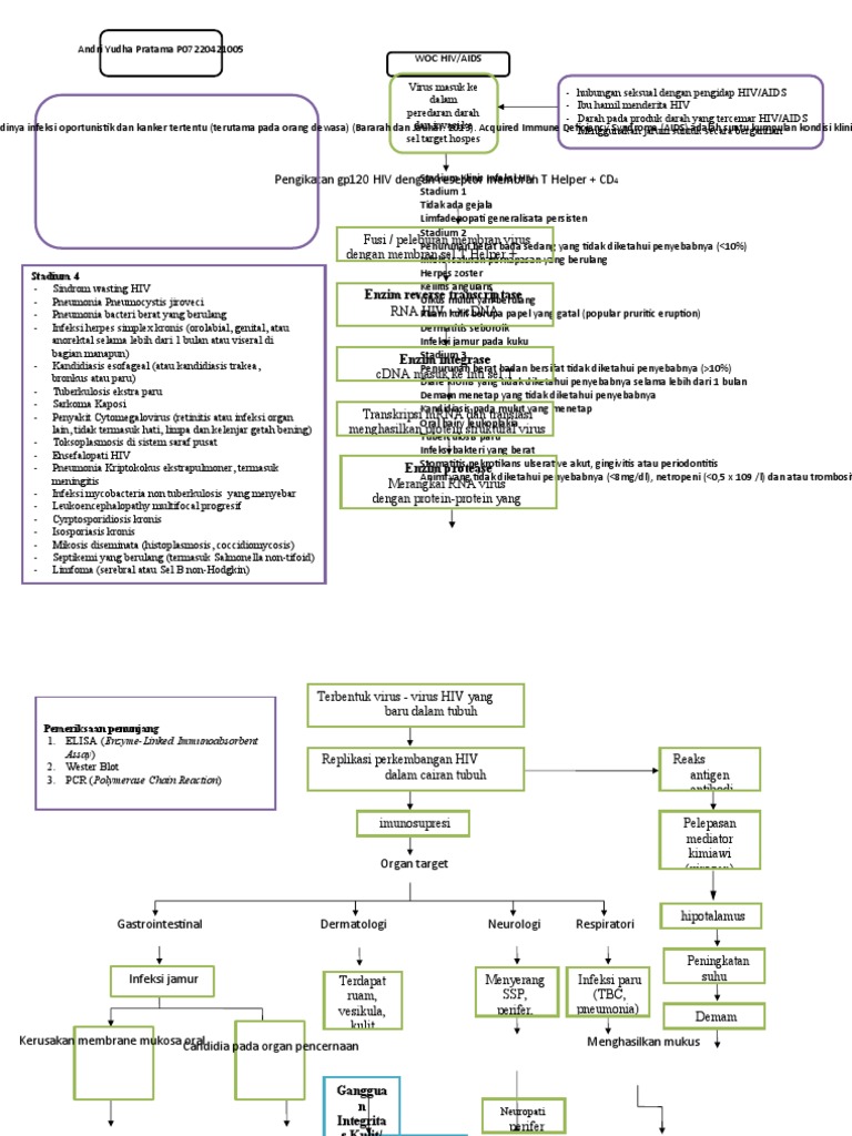 Woc Andri Yudha Pratama (Hiv Aids) | PDF