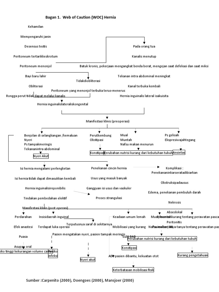 Hernia Inguinalis Lateralis Kongenital | PDF