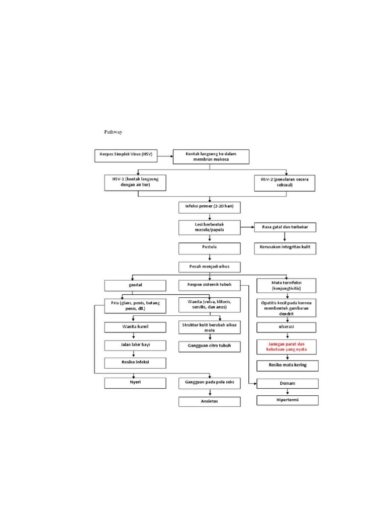 Pathways Herpes | PDF