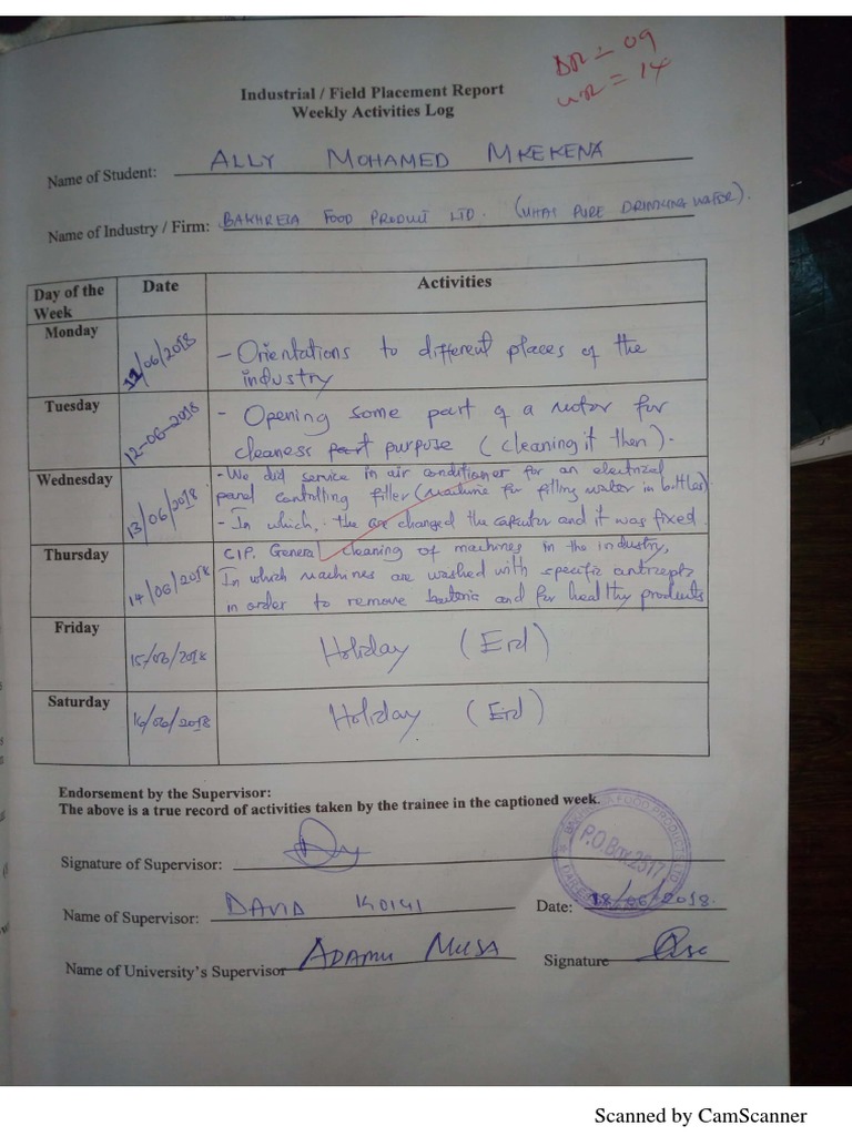 Industrial Logbook | PDF