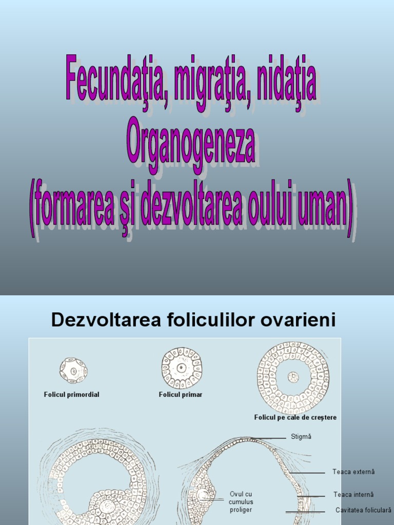 Fecundatia - Nidatia - Placentatia | PDF