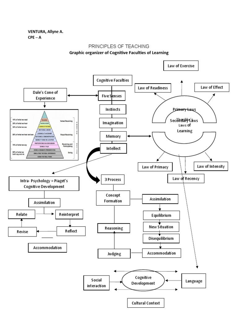 Graphic Organizer of Cognitive Faculties of Learning | PDF | Cognition ...