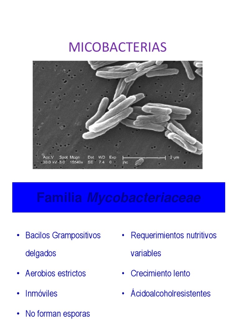 Micobacterias: Características, diagnóstico y enfermedades asociadas ...