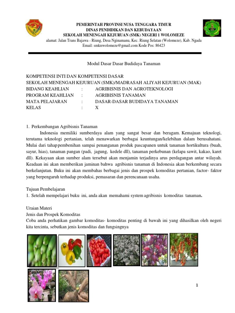 Modul Budidaya Tanaman SMK | PDF