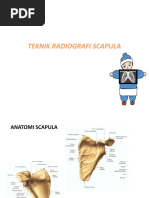 Thorax PA, AP Dan Lateral, RLD Dan LLD | PDF