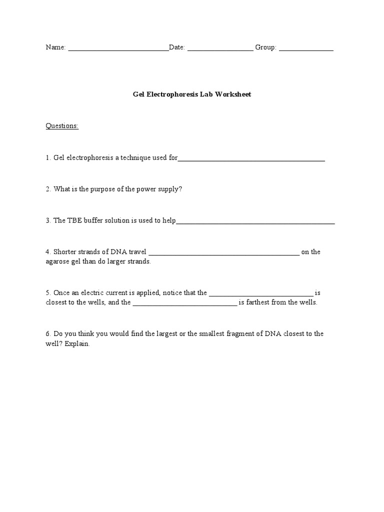 Electrophoresis Worksheet | PDF