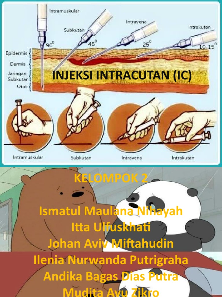 Injeksi Intracutan (Ic) | PDF