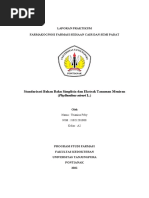 Makalah Farmakognosi Kelompok 3 - Senyawa Flavonoid | PDF
