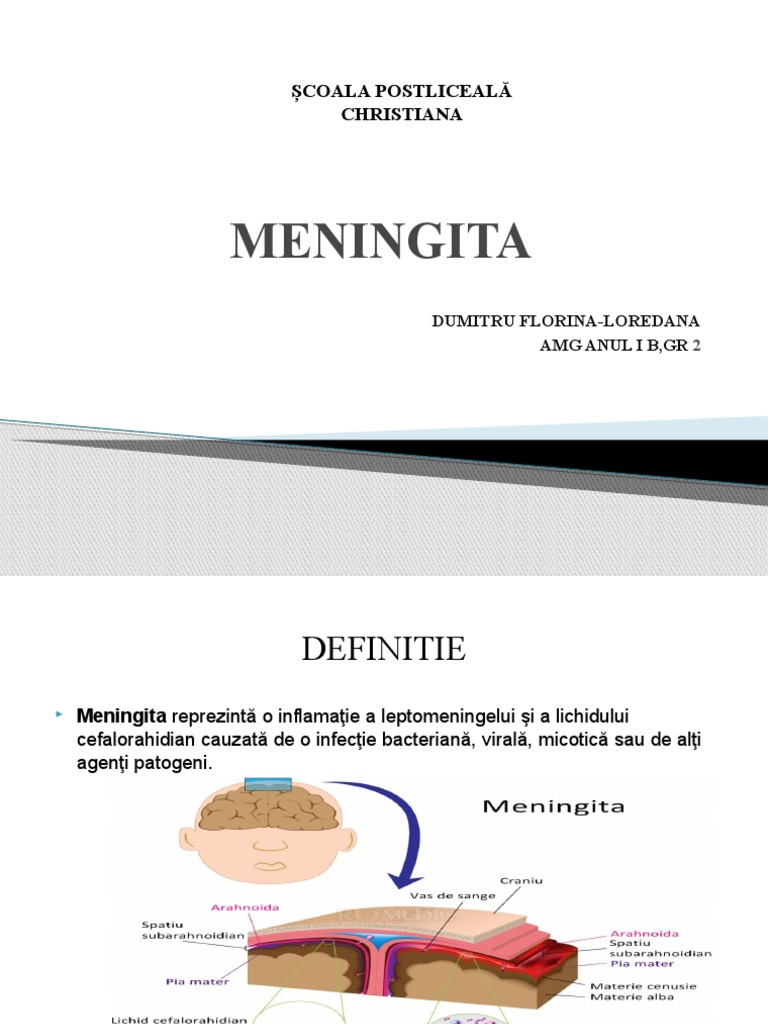 Anatomie Amg Ib | PDF