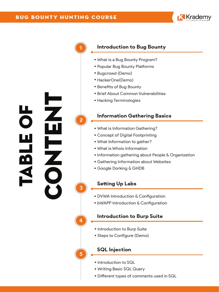 Bug Bounty Hunting - Complete Guide To An Innovative Earning Process ...