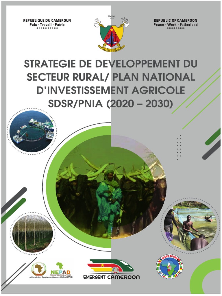 Sdsr-Pnia 2020-2030 FR | Download Free PDF | Développement durable ...