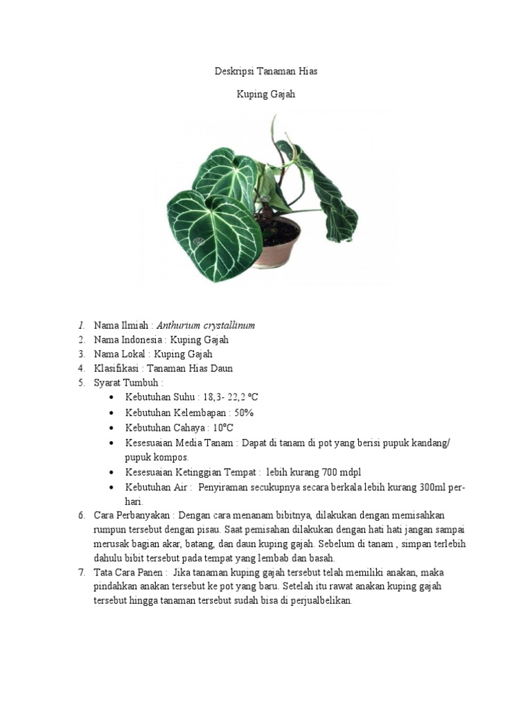 Deskripsi Tanaman Hias | PDF