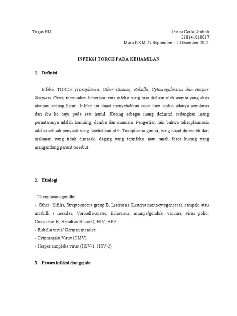 Infeksi Torch Pada Kehamilan | PDF