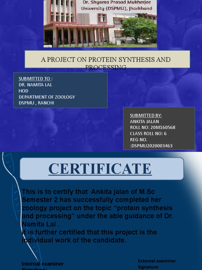 Protein Synthesis Project | PDF | Translation (Biology) | Ribosome