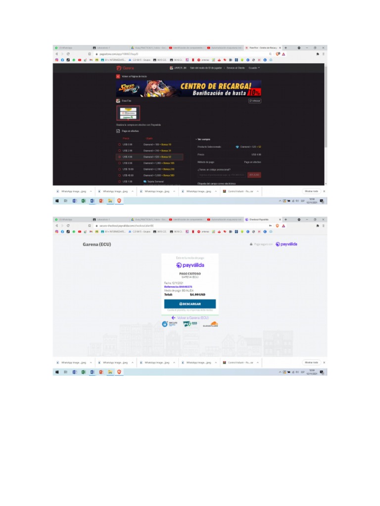 Recibo de Pago Payvalida | PDF